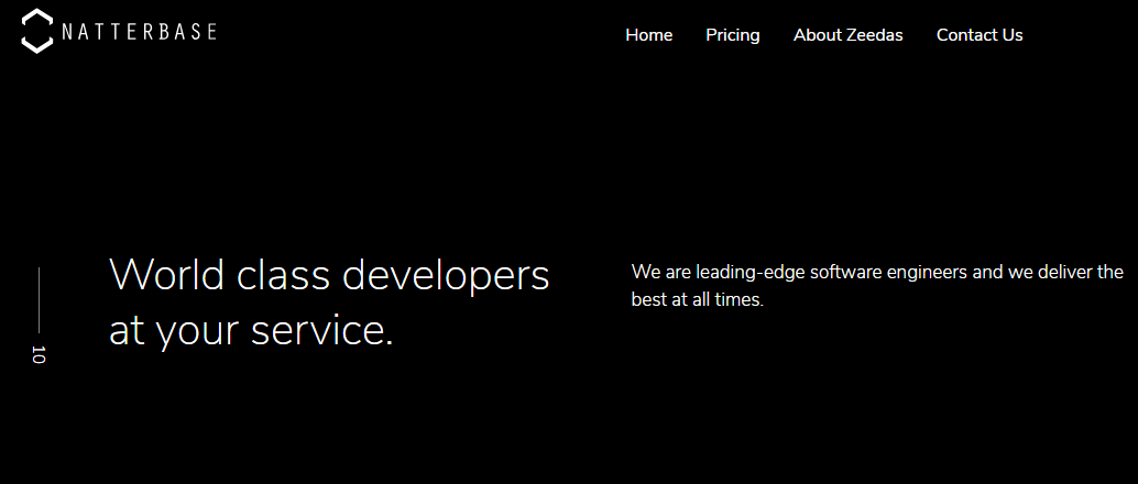 Meet Natterbase, the Outsourcing Platform Connecting Nigerian Software ...